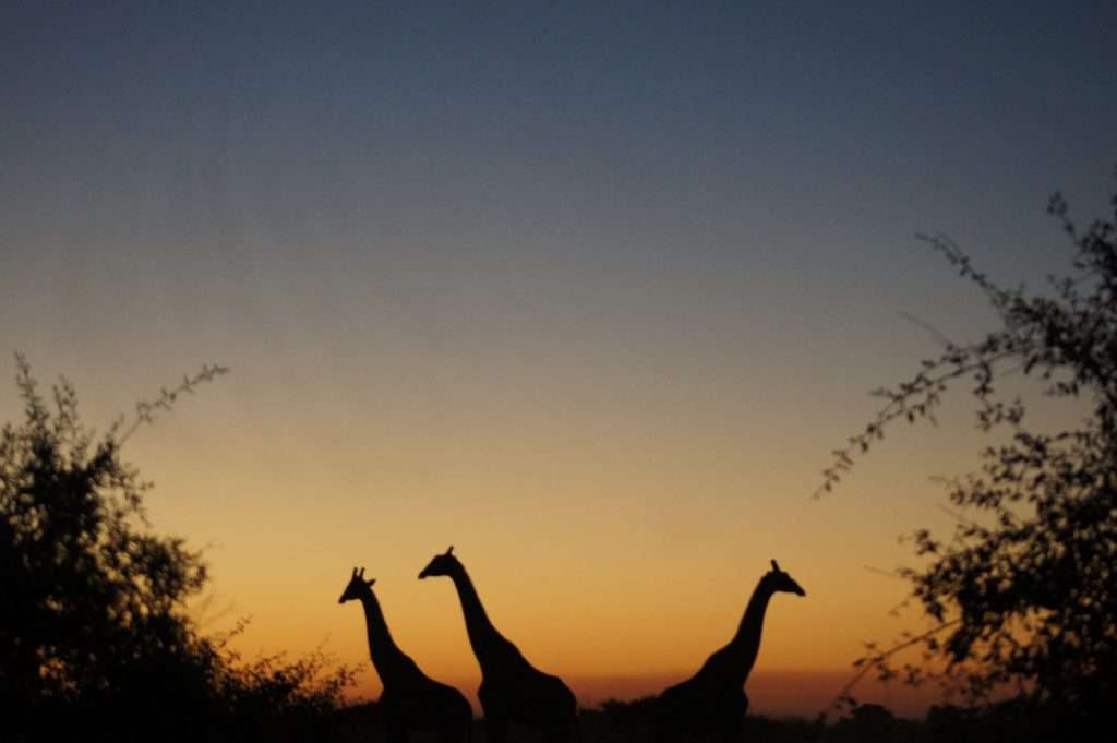 Zambia 2013 | Website Design Dublin Ireland | Life Coach | Oisín Hoy